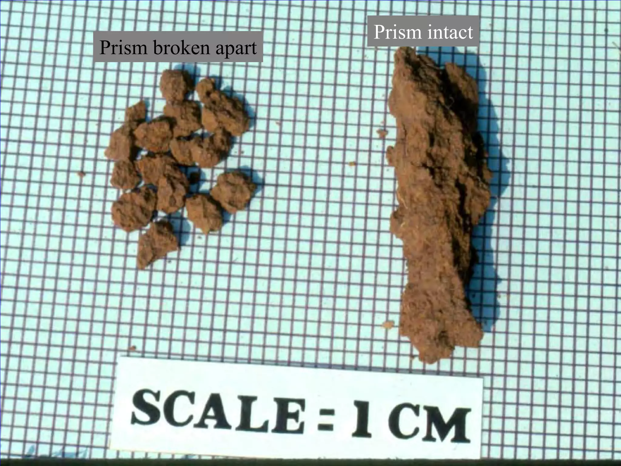 SOIL SCIENCE PDF PPT | PDF