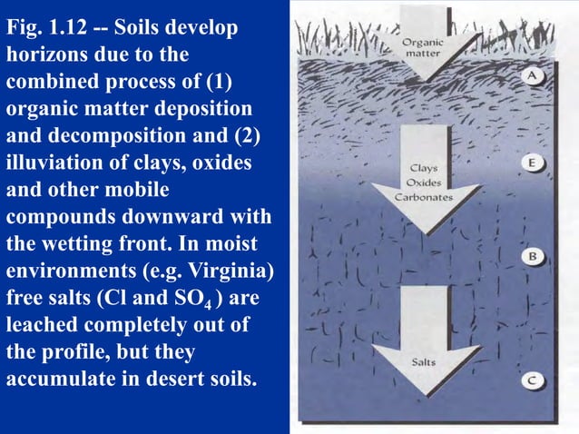 SOIL SCIENCE PDF PPT | PDF | Gardening | Home & Garden