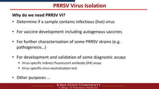 Dr. Jianqiang Zhang - Improvement of PRRSV Isolation from Clinical ...