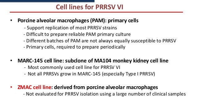 Dr. Jianqiang Zhang - Improvement of PRRSV Isolation from Clinical Sa…