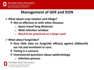 Dr. Pierce Paul - Corn Disease Issues And Solutions | PPTX