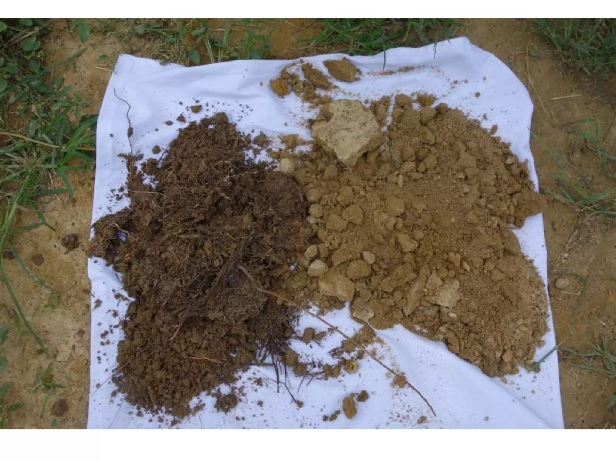 Dr. David Montgomery - From Dirt to Regenerating Our Soils | PPTX