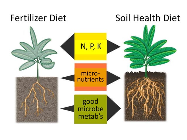 Dr. David Montgomery - From Dirt to Regenerating Our Soils | PPT