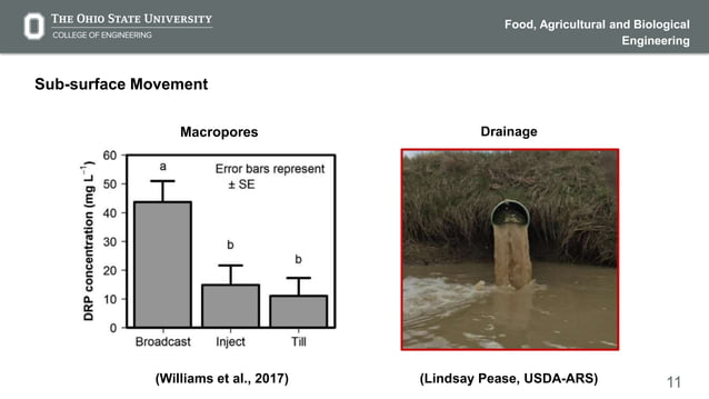 Trey Colley - Subsurface Placement - Opportunities And Considerations | PPT