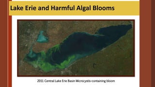 Dr. Doug Smith - Blind Inlets - Agronomic And Water Quality Performance ...