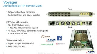 Design and deployment of optical white box | PDF