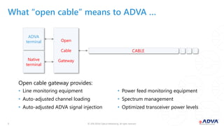 Open to open cable: OFC 2018 workshop on undersea systems | PDF ...