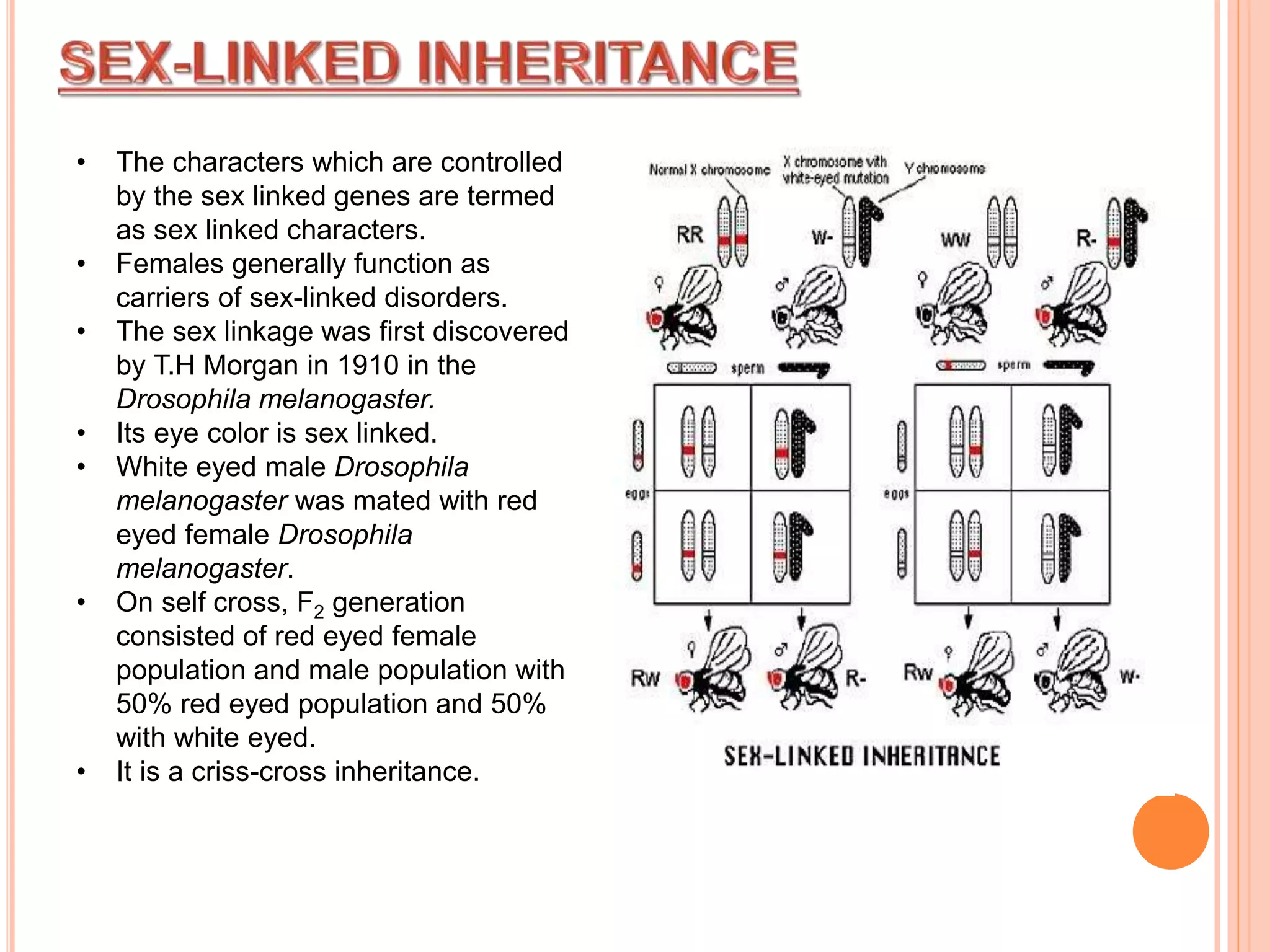Medelism-genetic inheritance.ppt