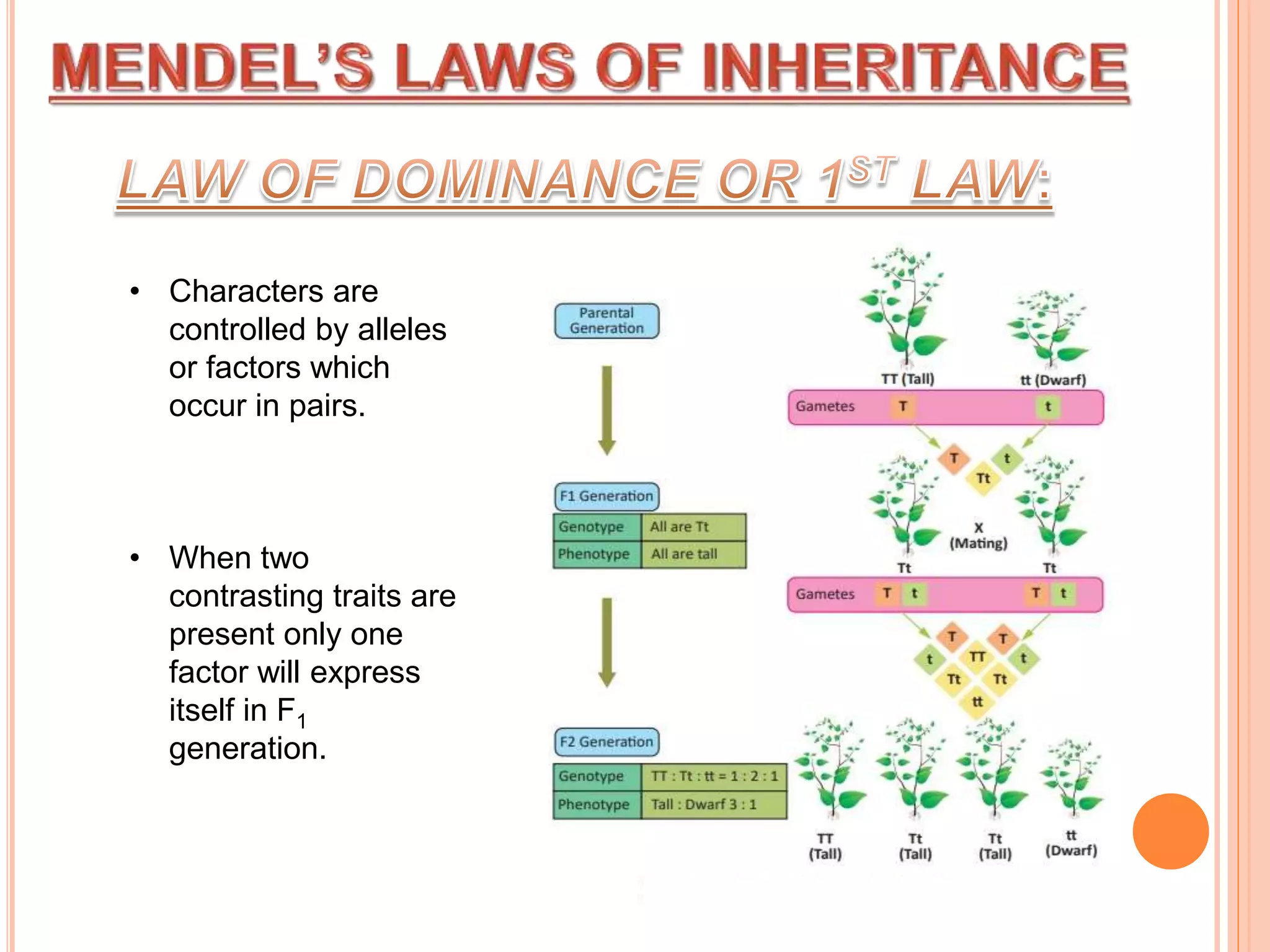 Medelism-genetic inheritance.ppt