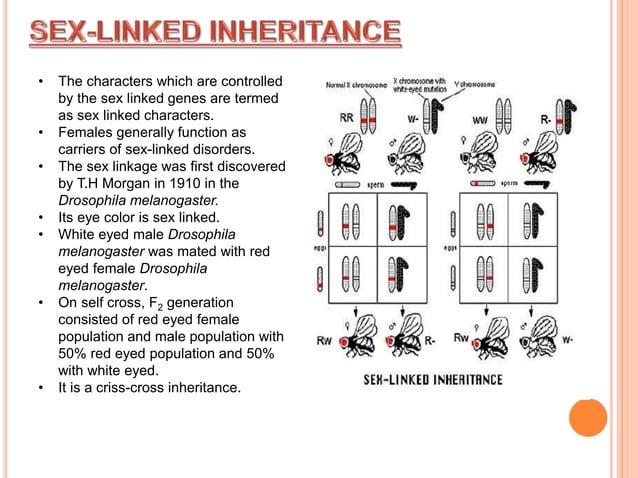 Medelism-genetic inheritance.ppt