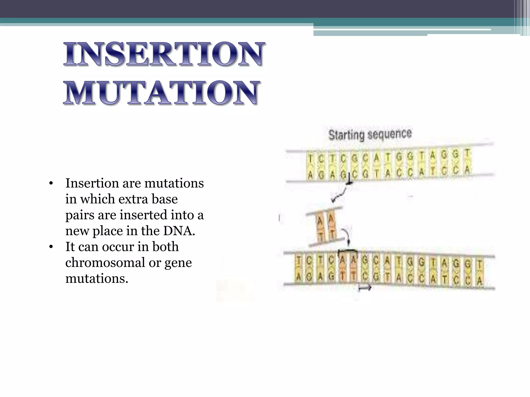 genetic mutations.ppt