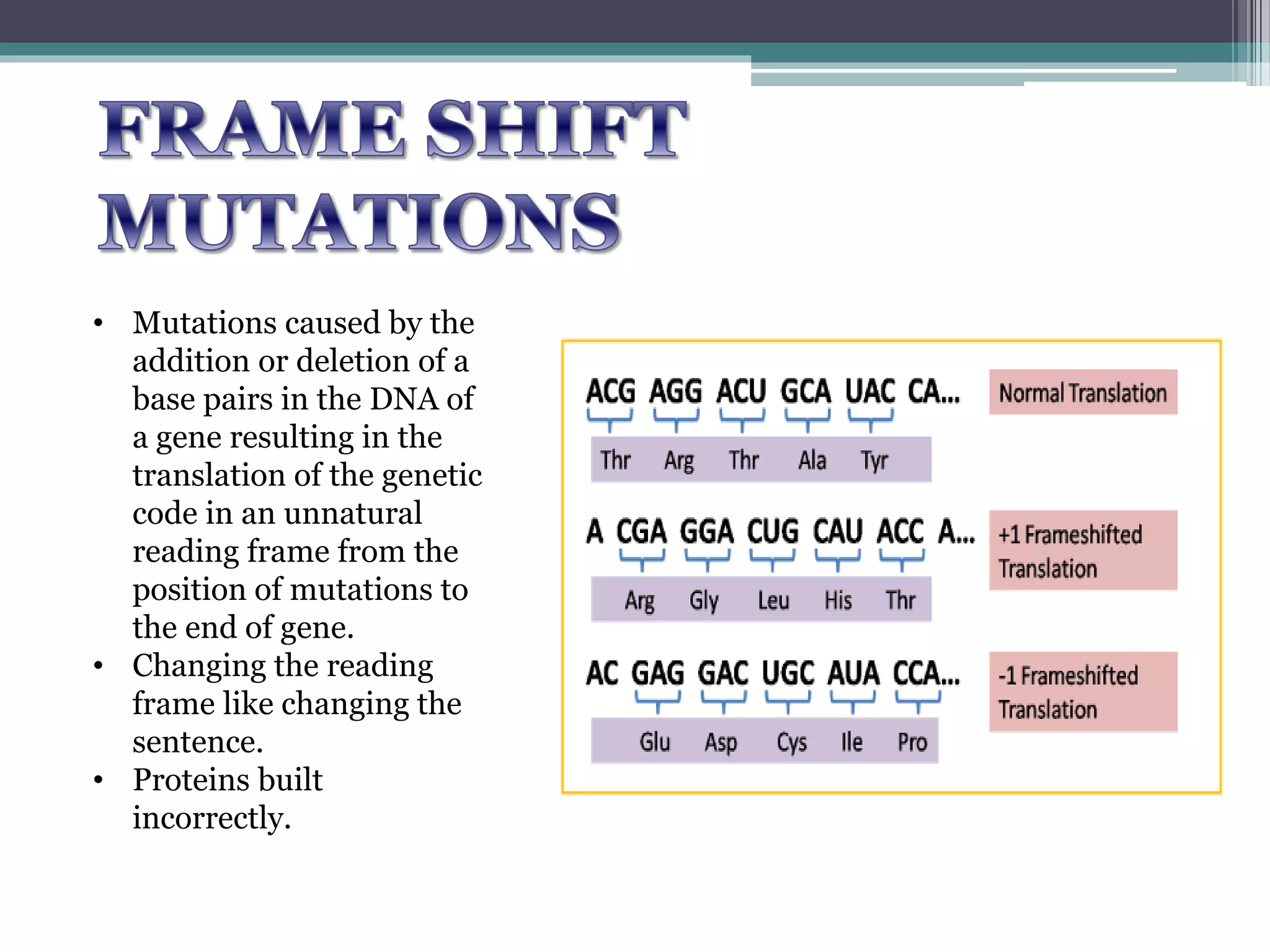 genetic mutations.ppt
