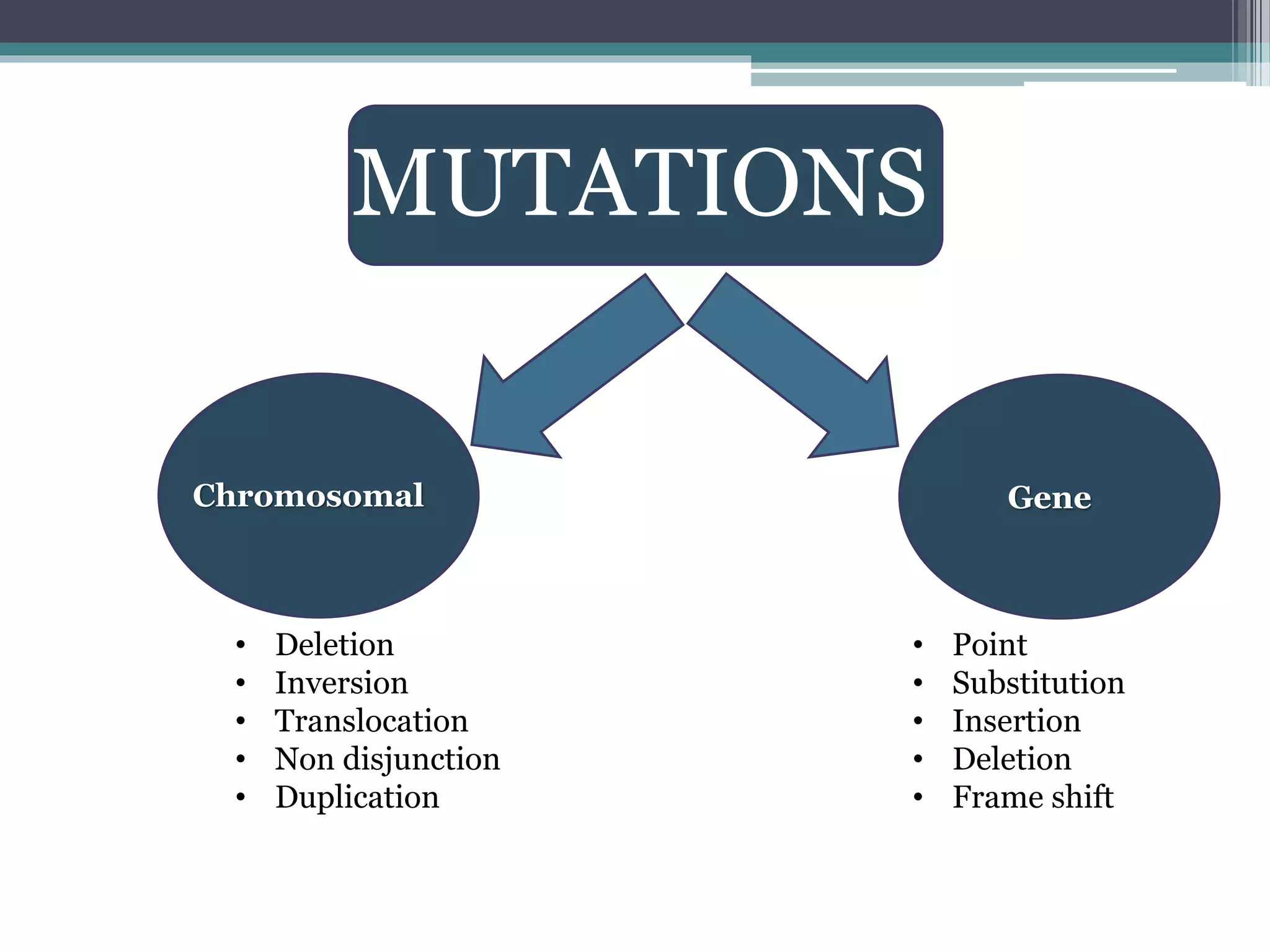 genetic mutations.ppt