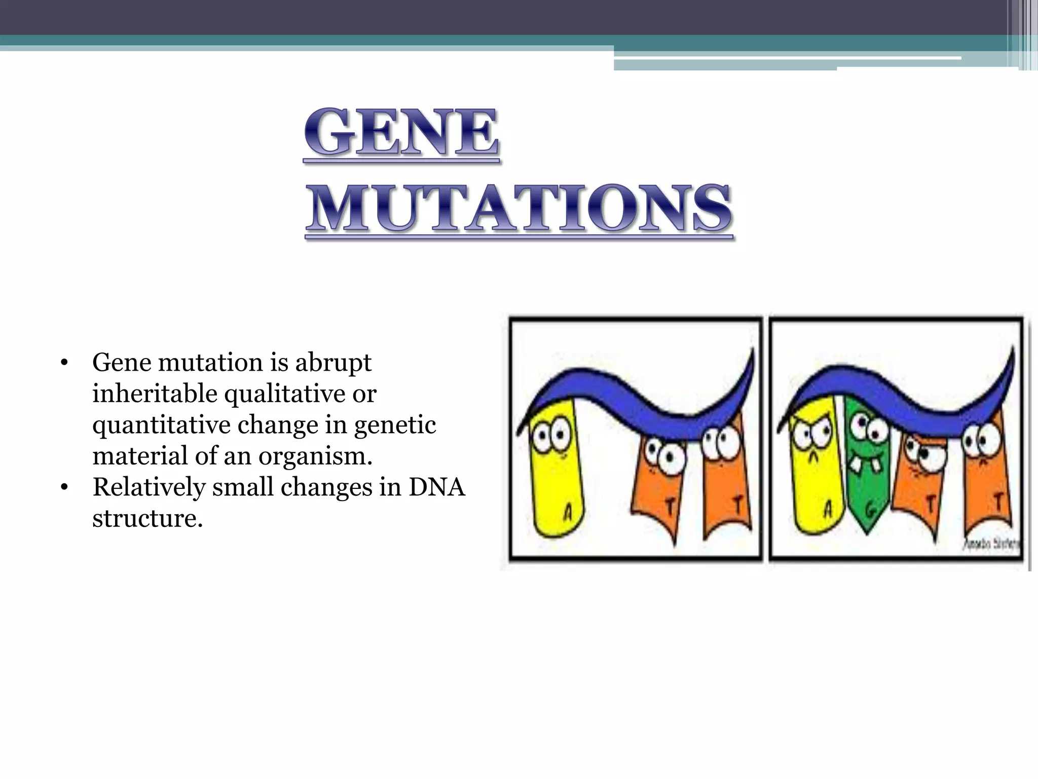 genetic mutations.ppt