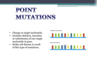 genetic mutations.ppt