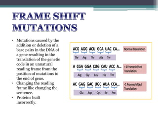 genetic mutations.ppt