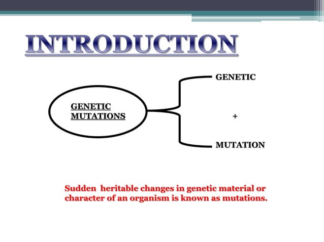 genetic mutations.ppt