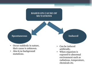 genetic mutations.ppt