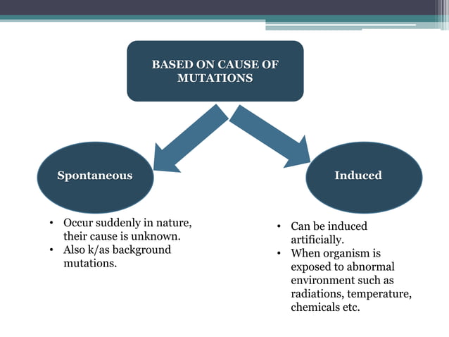 genetic mutations.ppt