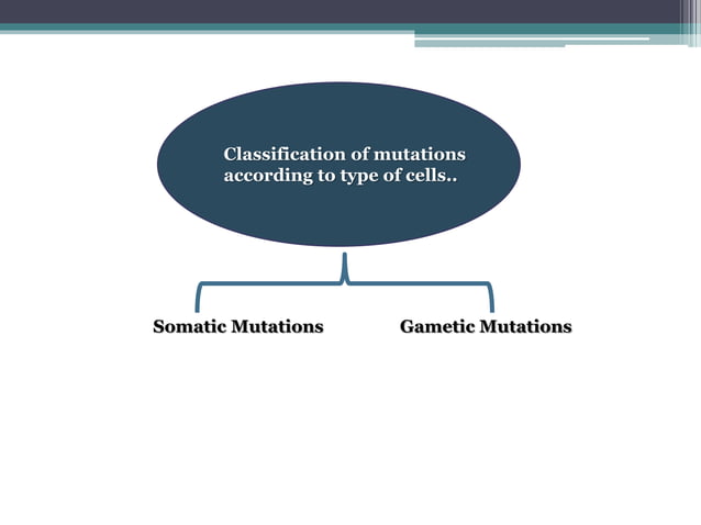 genetic mutations.ppt