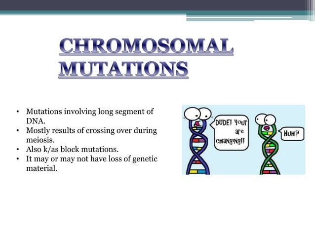 genetic mutations.ppt