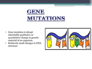 genetic mutations.ppt