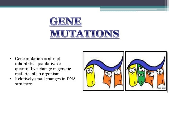 genetic mutations.ppt