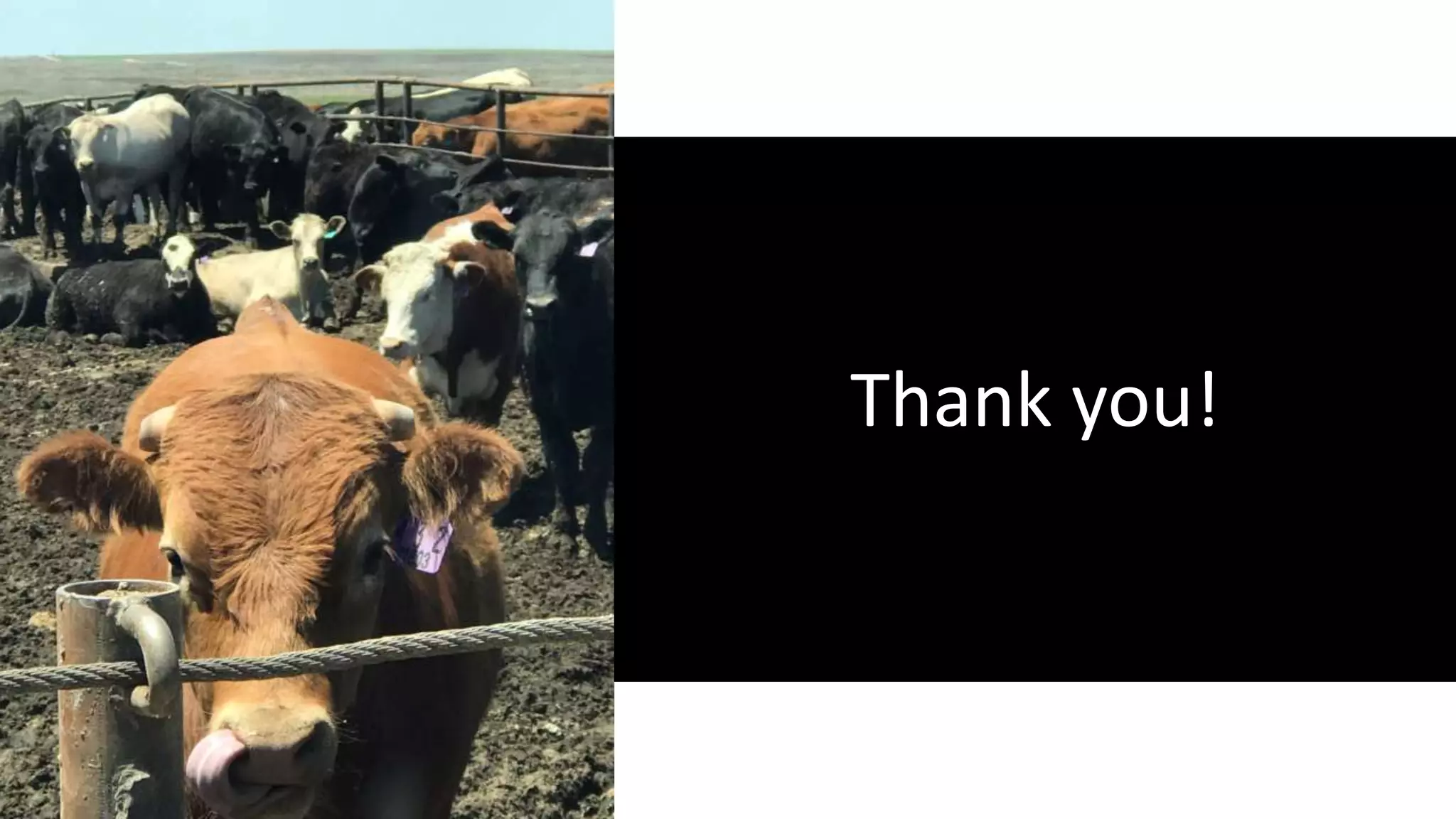 Dr. Tera Barnhardt - Antibiotic Stewardship | PPT