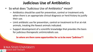 Dr. Rick L. Sibbel - Antibiotic Stewardship | PPT