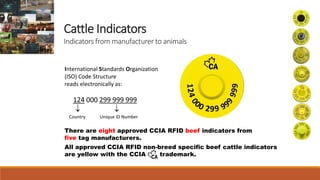 Ms. Anne Brunet-Burgess - Overview of the Canadian Traceability ...