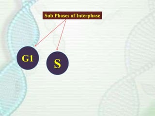 18042020100230Cell cycle.pdf