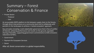 The role of private sector in forest conservation & finance | PPTX