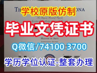 PSU Master Diploma | PDF