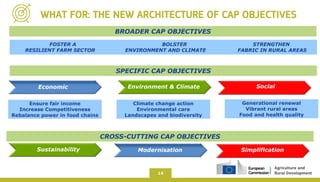 Future of CAP in a Nutshell | PDF | Agriculture | Industries
