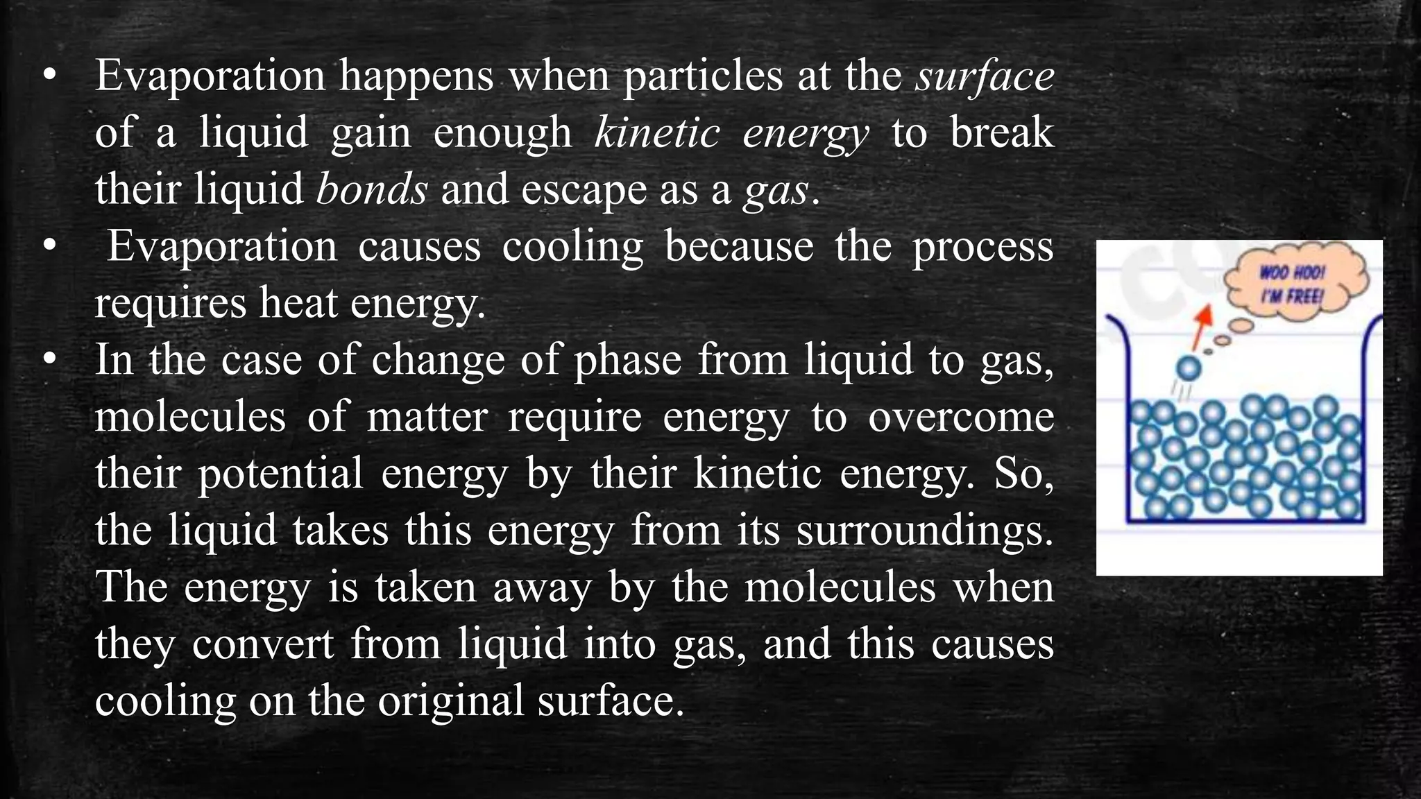 Evaporation | PPTX | Chemistry | Science