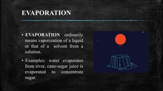 Evaporation | PPTX | Chemistry | Science