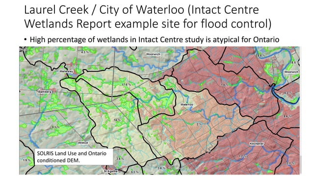 Wetland Flood Reduction - Distribution of Wetland Features and ...