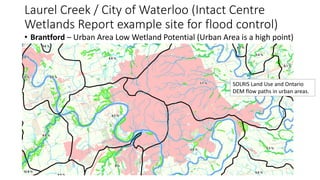 Wetland Flood Reduction - Distribution of Wetland Features and ...