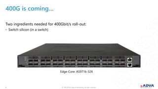 The 400G transition | PDF | Computer Peripherals | Computing