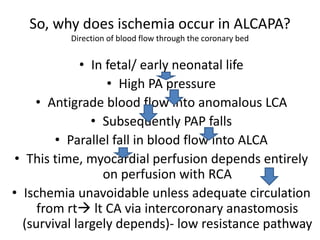 CONGENITAL CORONARY ANOMALIES AND VARIANTS, ALCAPA | PPT