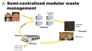 Insect assisted organic waste management - A circular economic approach ...