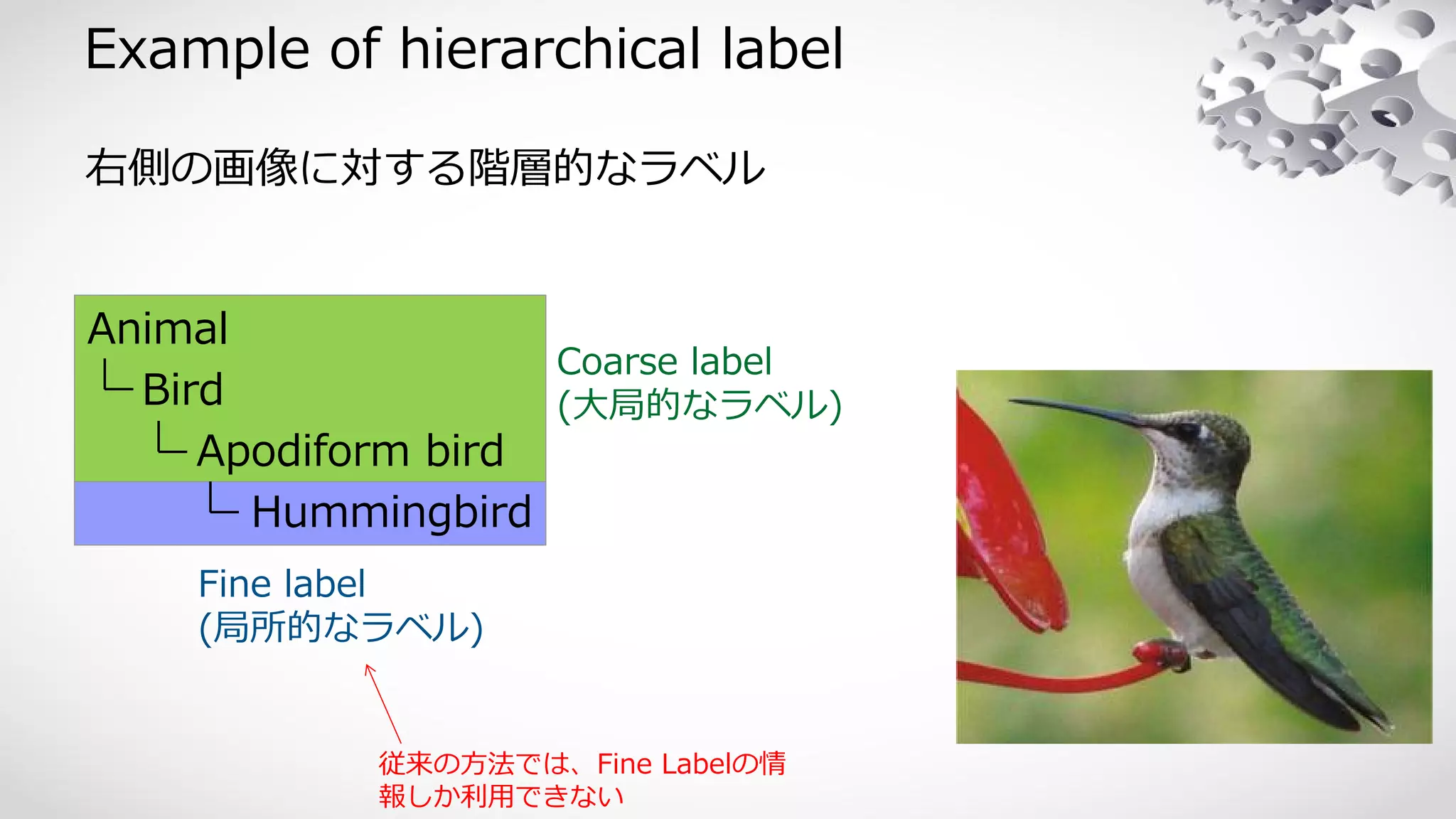 CNN-RNN: a large-scale hierarchical image classification framework | PPT