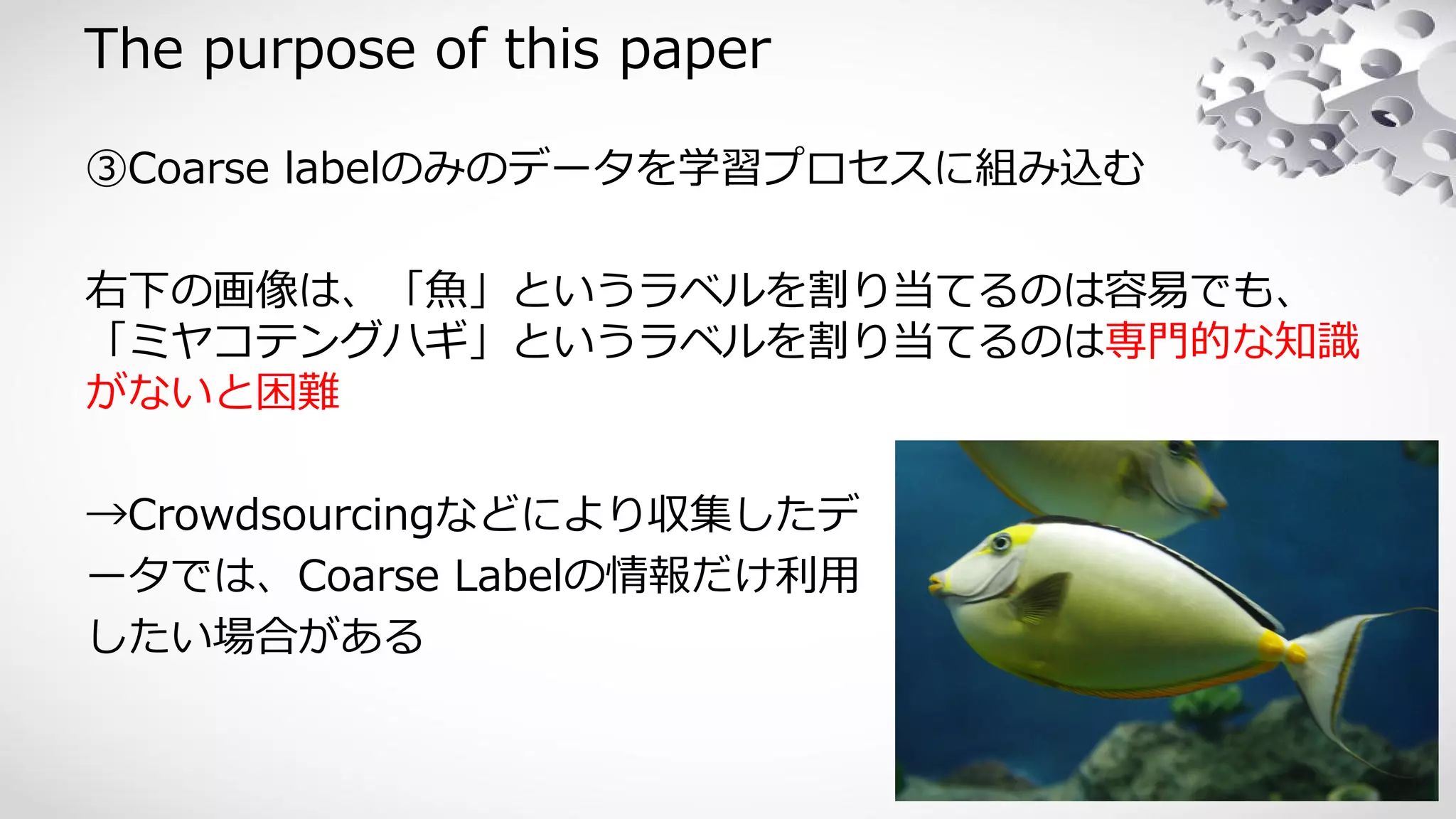 CNN-RNN: a large-scale hierarchical image classification framework | PPT