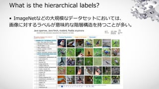 CNN-RNN: a large-scale hierarchical image classification framework | PPT