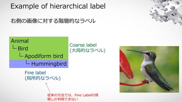 CNN-RNN: a large-scale hierarchical image classification framework | PPT
