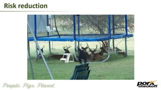 Dr. Patrick Webb - African Swine Fever (ASF) awareness, prevention ...