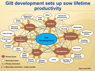Dr. Clay Lents - Nutritional Strategies for Managing Growth and Body ...