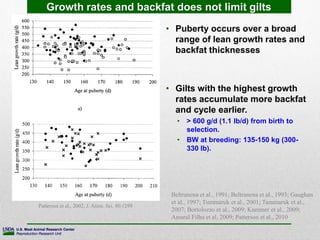 Dr. Clay Lents - Nutritional Strategies for Managing Growth and Body ...