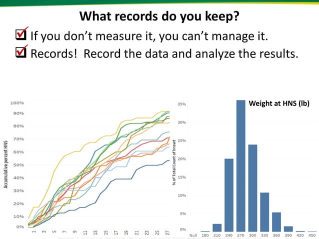 Jennifer Patterson - Improving Efficiencies of Replacement Gilt ...