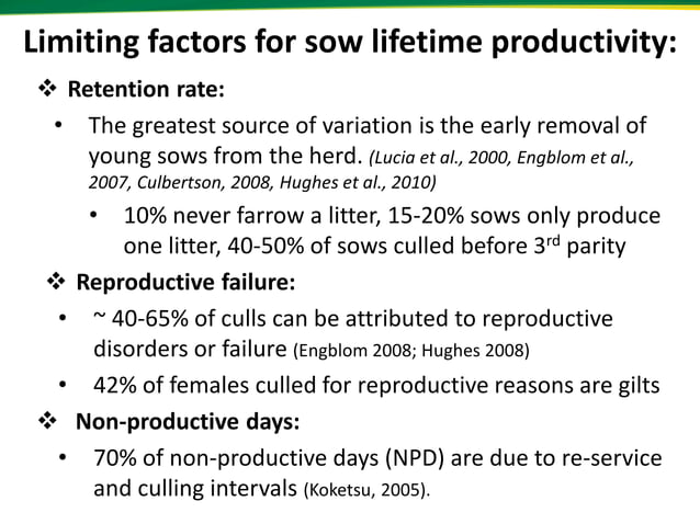Jennifer Patterson - Improving Efficiencies of Replacement Gilt ...